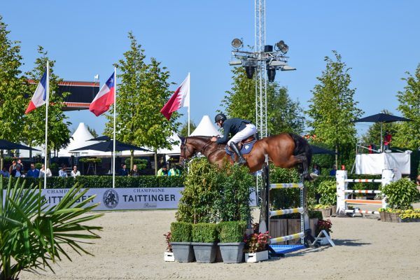 Exploring: Stephex Masters - ATELIER DE GRIFF