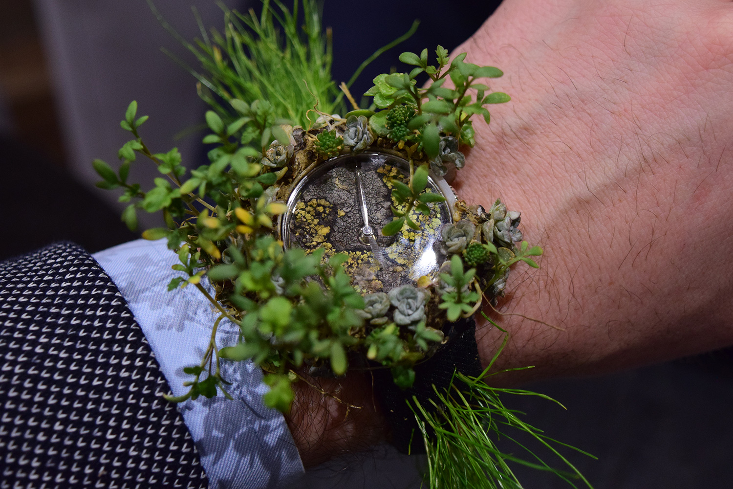 Hands-On: H. Moser & Cie Pioneer Center Seconds Rotating Bezel ...